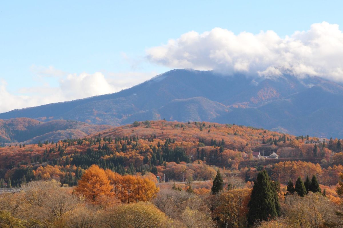 東京から北信州へ。山のある暮らしを選んだきっかけ。写真と文：柴田奈穂子 (『tohe』店主) #1 | TRILL【トリル】
