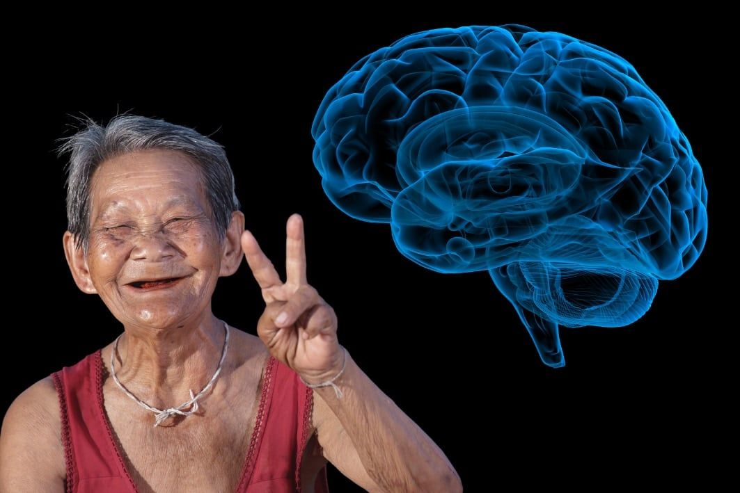 78歳の脳にも「新しい神経細胞」が出現できると判明 | TRILL【トリル】