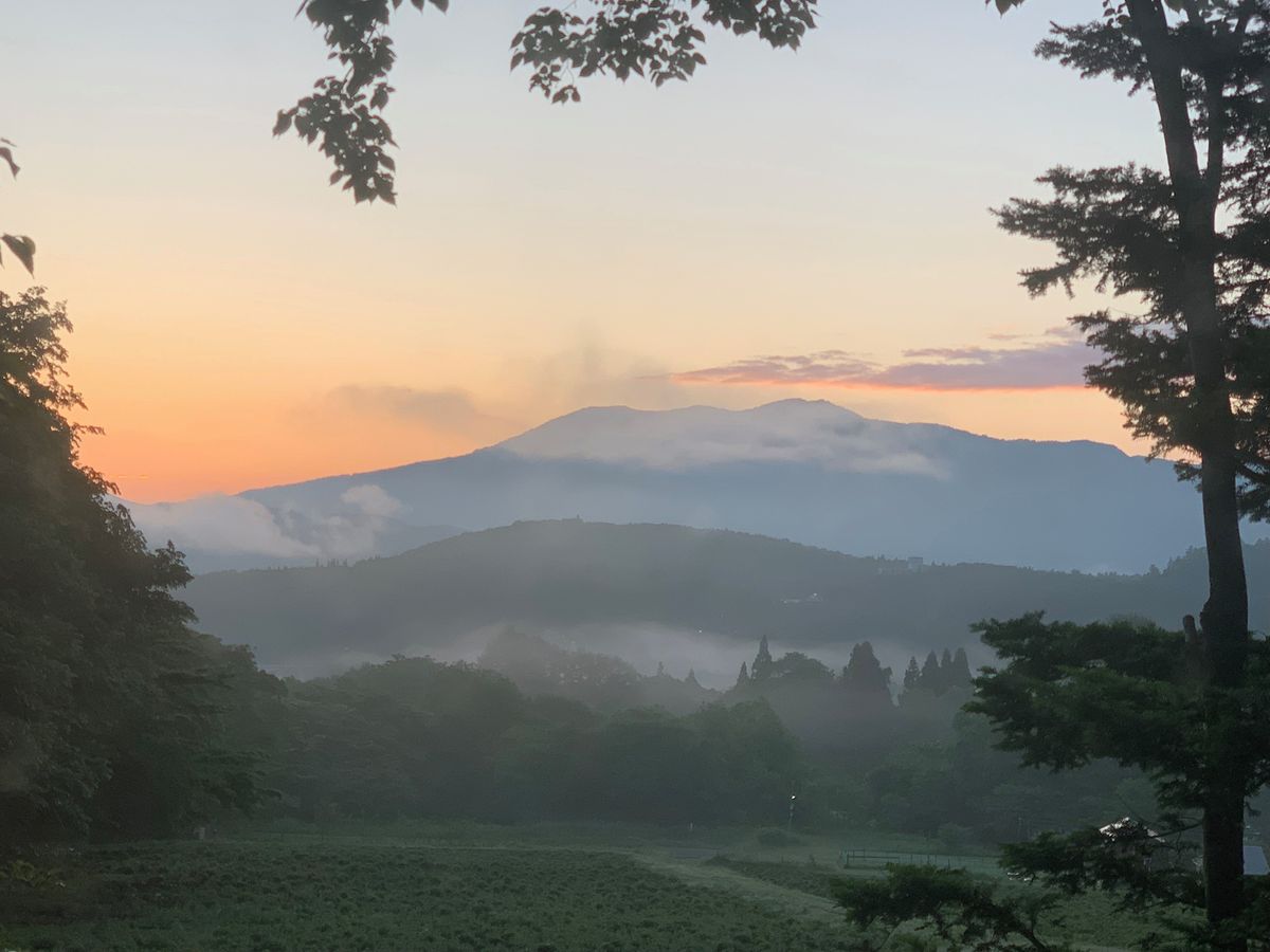 一人から、二人、三人へ。家族と選んだ、移住生活。写真と文：柴田奈穂子 (『tohe』店主) #4 | TRILL【トリル】