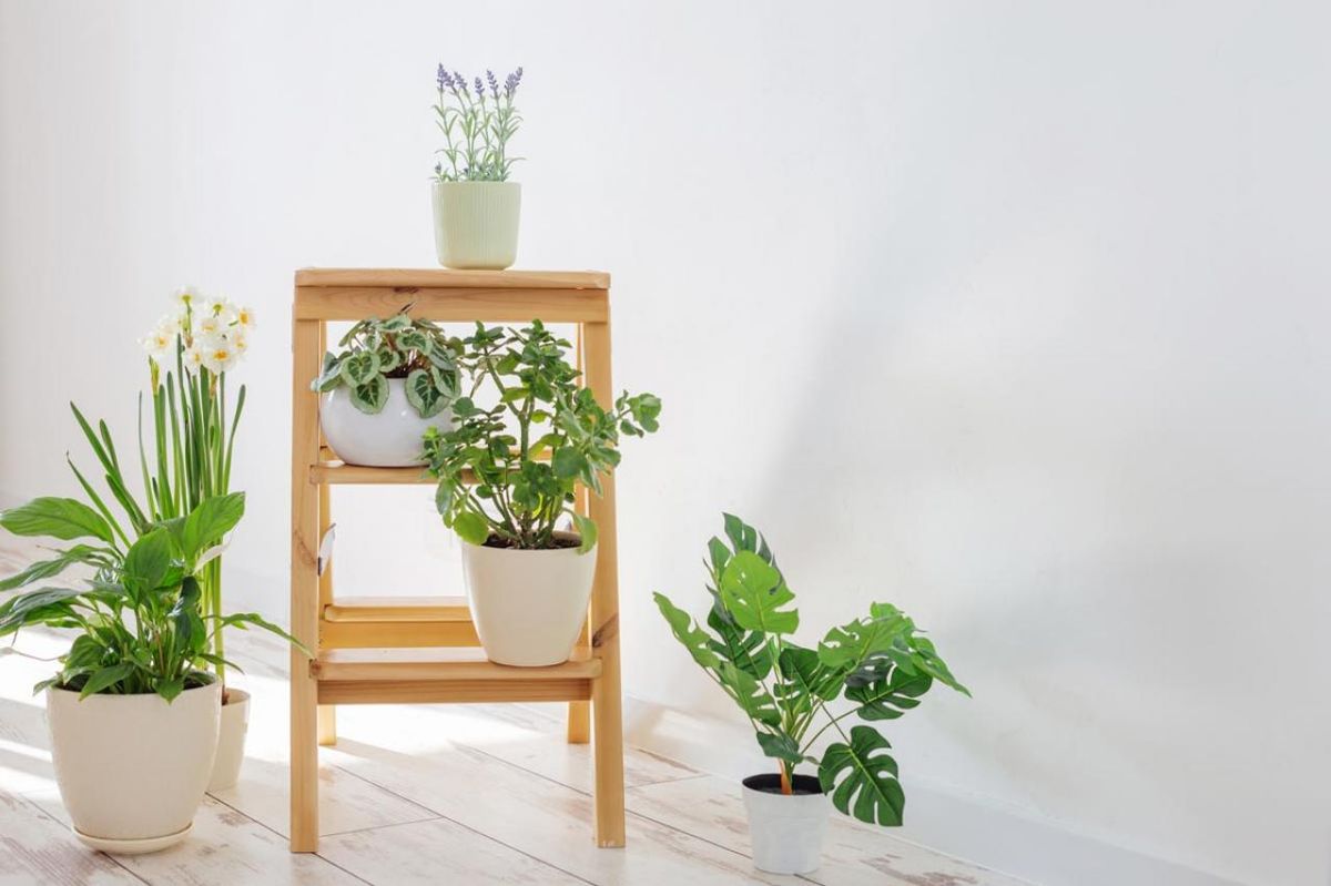 中道あんさん流・老後を見据えた節約術！食費・美容費の見直し実例を公開 | TRILL【トリル】