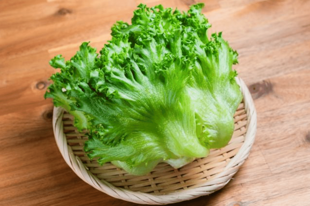 その洗い方NGかも…管理栄養士が教える『レタス』の“間違った洗い方”とは？【管理栄養士が監修】 | TRILL【トリル】