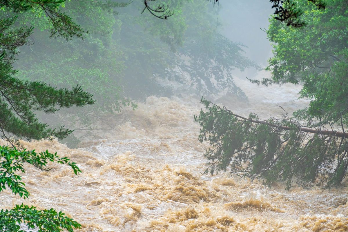 大きな川より小さな川の方が危険？ その理由や「バックウォーター現象」を解説 | TRILL【トリル】