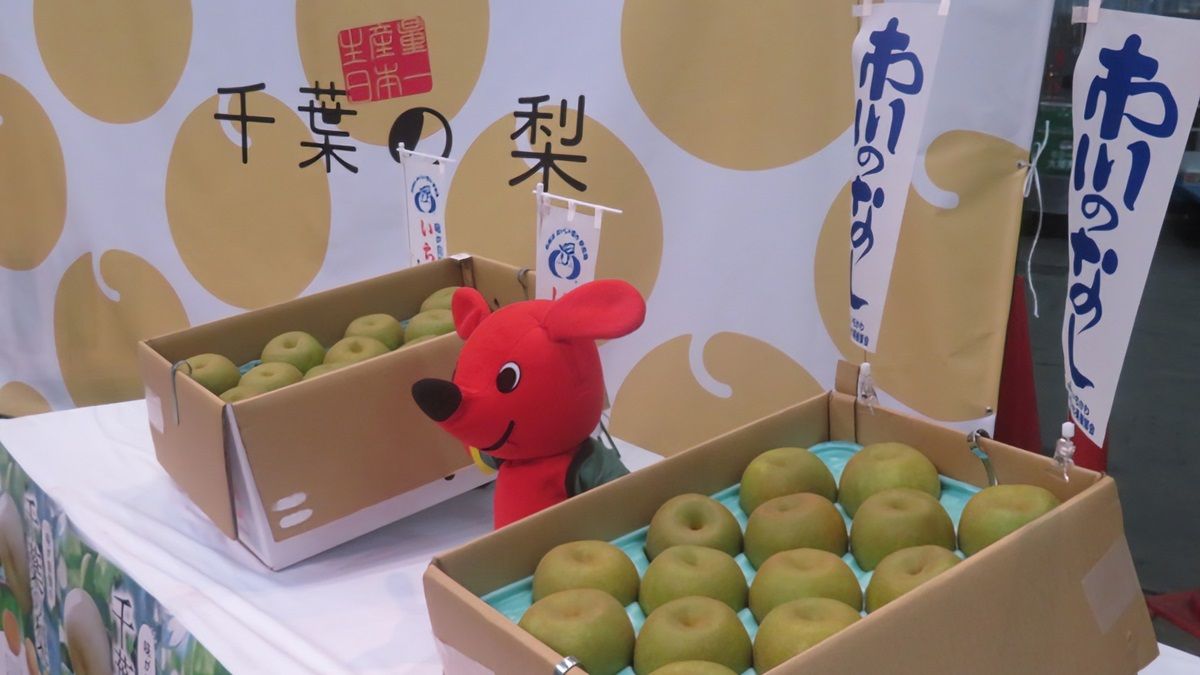 千葉なし出陣式 県知事が大田市場でPR | TRILL【トリル】