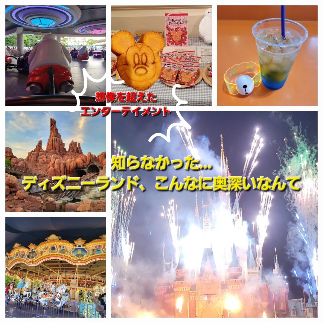 【Ray♥Campusエディターズ】【予想外】ディズニーランドで新たな楽しみ方を発見！ | TRILL【トリル】