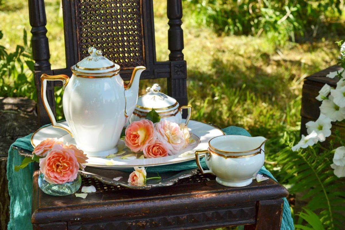 【ガーデニング】高温、豪雨、台風からバラを守る方法！ 摘蕾や元肥で厳しい季節を乗り切ろう | TRILL【トリル】