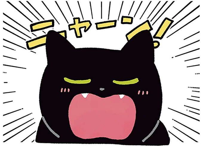 えっ、ホントに...？ 猫に「7時に起こして」と頼んでみたら／黒猫ろんと暮らしたら4 | TRILL【トリル】