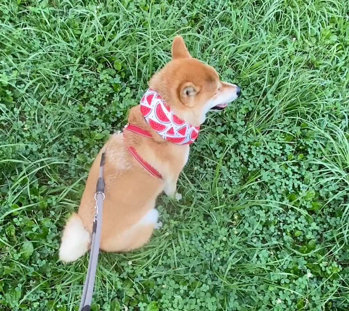 ハルくん、休憩は多めで。 | TRILL【トリル】