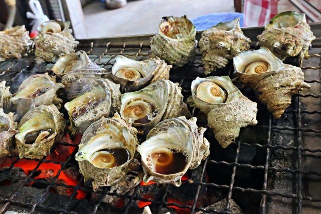 3000万円の罰金も！？「BBQで家族と食べる分だから」「知らなかった」は通用しない→“密漁”の境界線を弁護士に聞いた | TRILL【トリル】