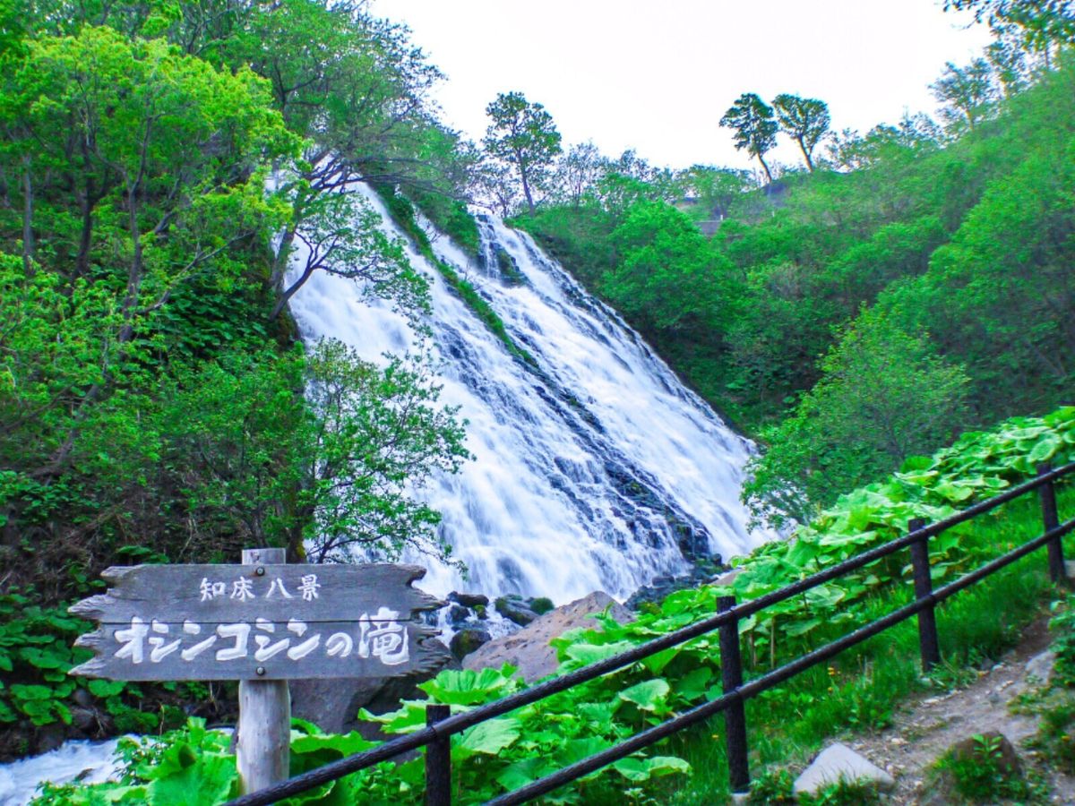 日本百名滝の中で行ってみたい「北海道・東北の滝」ランキング！ 2位「オシンコシンの滝」、1位は？ | TRILL【トリル】