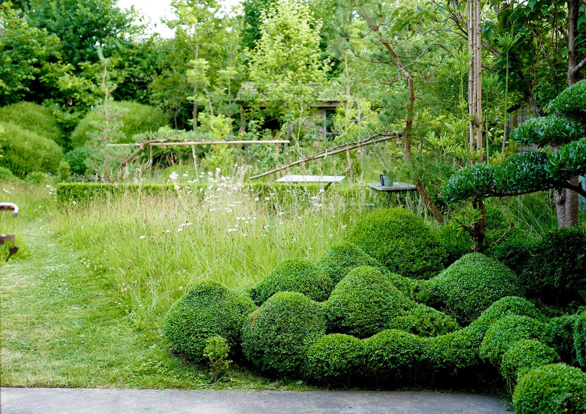 日本の庭木に惹かれて。写真と文：ジェイク・ホブソン (〈ニワキ〉ファウンダー) #1 | TRILL【トリル】
