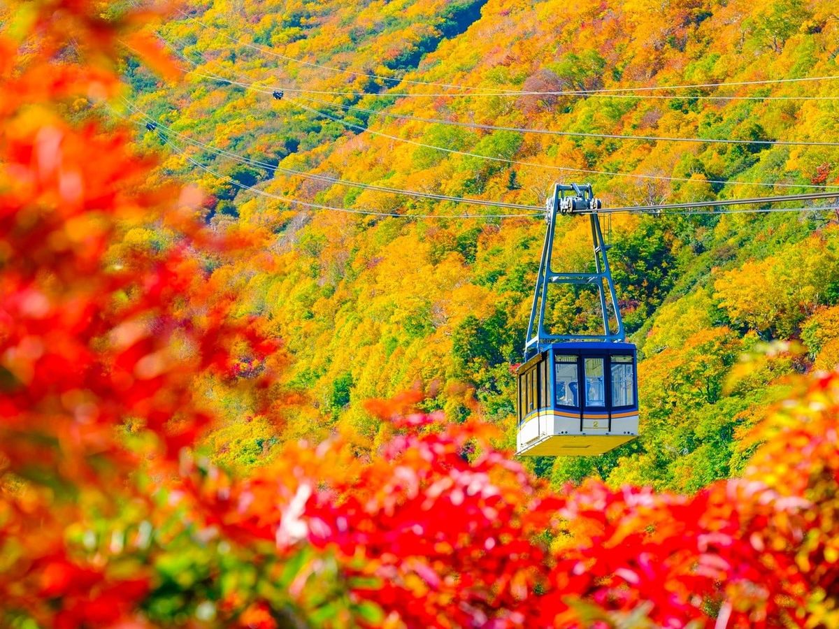 好き＆行ってみたい「北アルプス・上信越の山」ランキング！ 2位「立山（富山県）」を抑えた1位は？【2025年調査】 | TRILL【トリル】