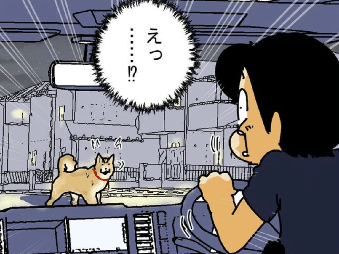 トラックで走行中…道の真ん中に【迷子の犬】が。 配達員の行動に「目頭が熱くなった」 | TRILL【トリル】