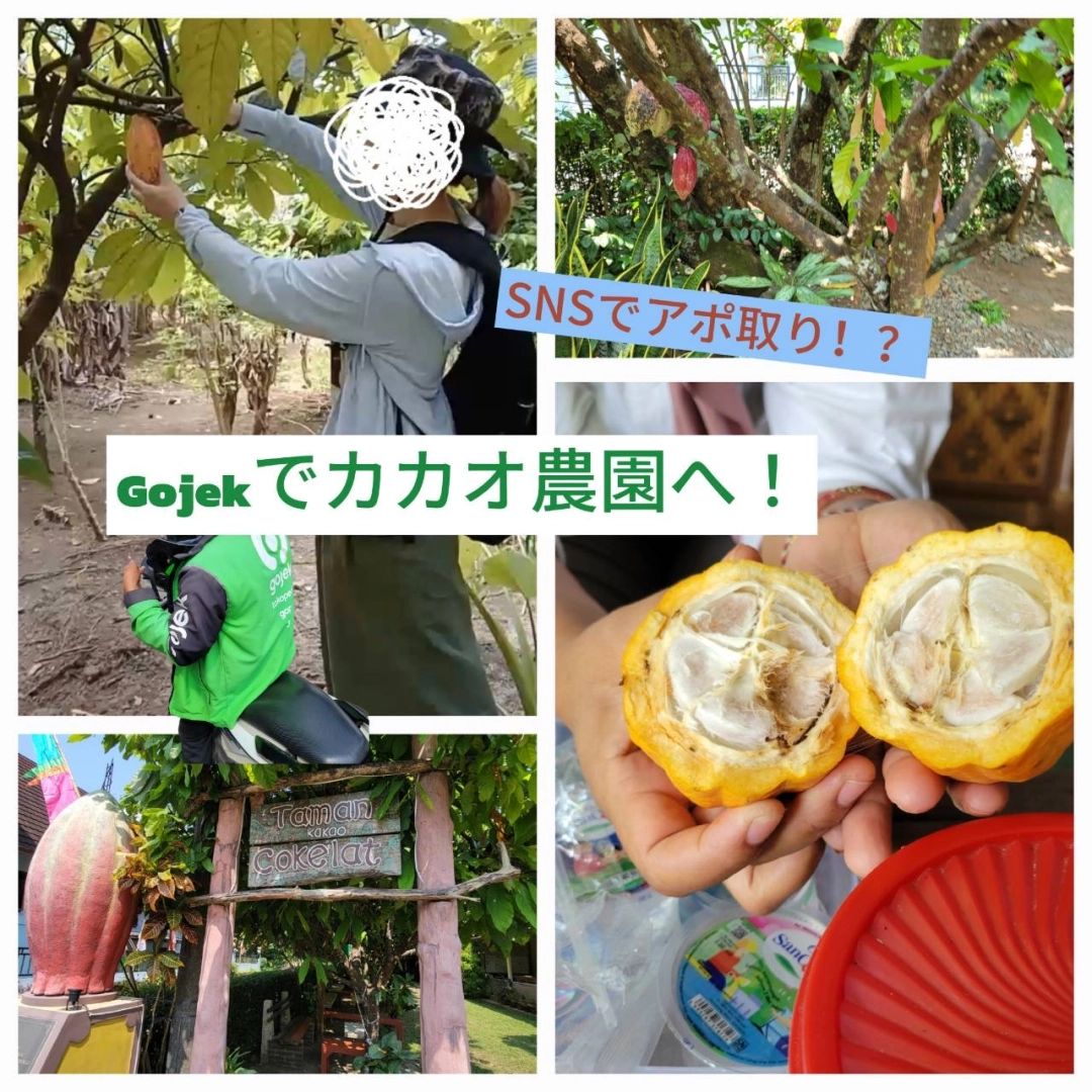 【Ray♥Campusエディターズ】【インドネシア留学】SNSでアポとって即日カカオ農園 | TRILL【トリル】