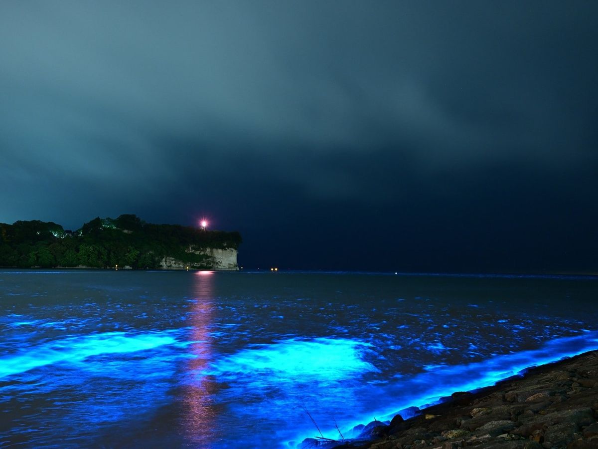 好き＆行ってみたい「富山県のお月見スポット」ランキング！ 2位「氷見海岸」、1位は？【2025年調査】 | TRILL【トリル】