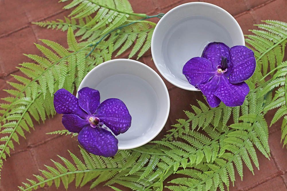 200円の花瓶が優秀すぎ！ 長もちする高級花「バンダ」で楽しむアジアン花飾り プチプラ花コーデVol.165 | TRILL【トリル】