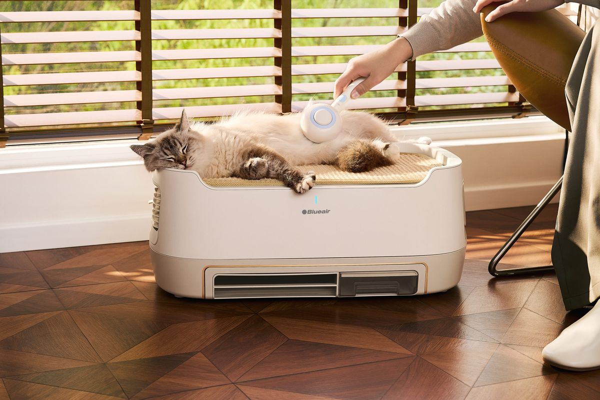 猫の寝るところが空気清浄器、一石二鳥にもほどがある | TRILL【トリル】