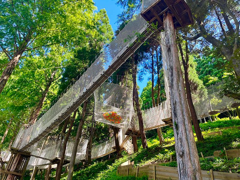 身長90cmからOK！子ども大喜び「フォレストアドベンチャー」ネットコース | TRILL【トリル】