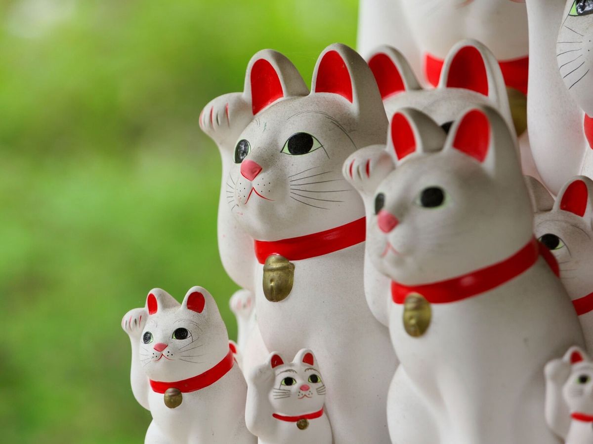 9月21日は2つの吉日が重なる最強開運日！ 金運・財運を呼び込む開運アクションを解説 | TRILL【トリル】