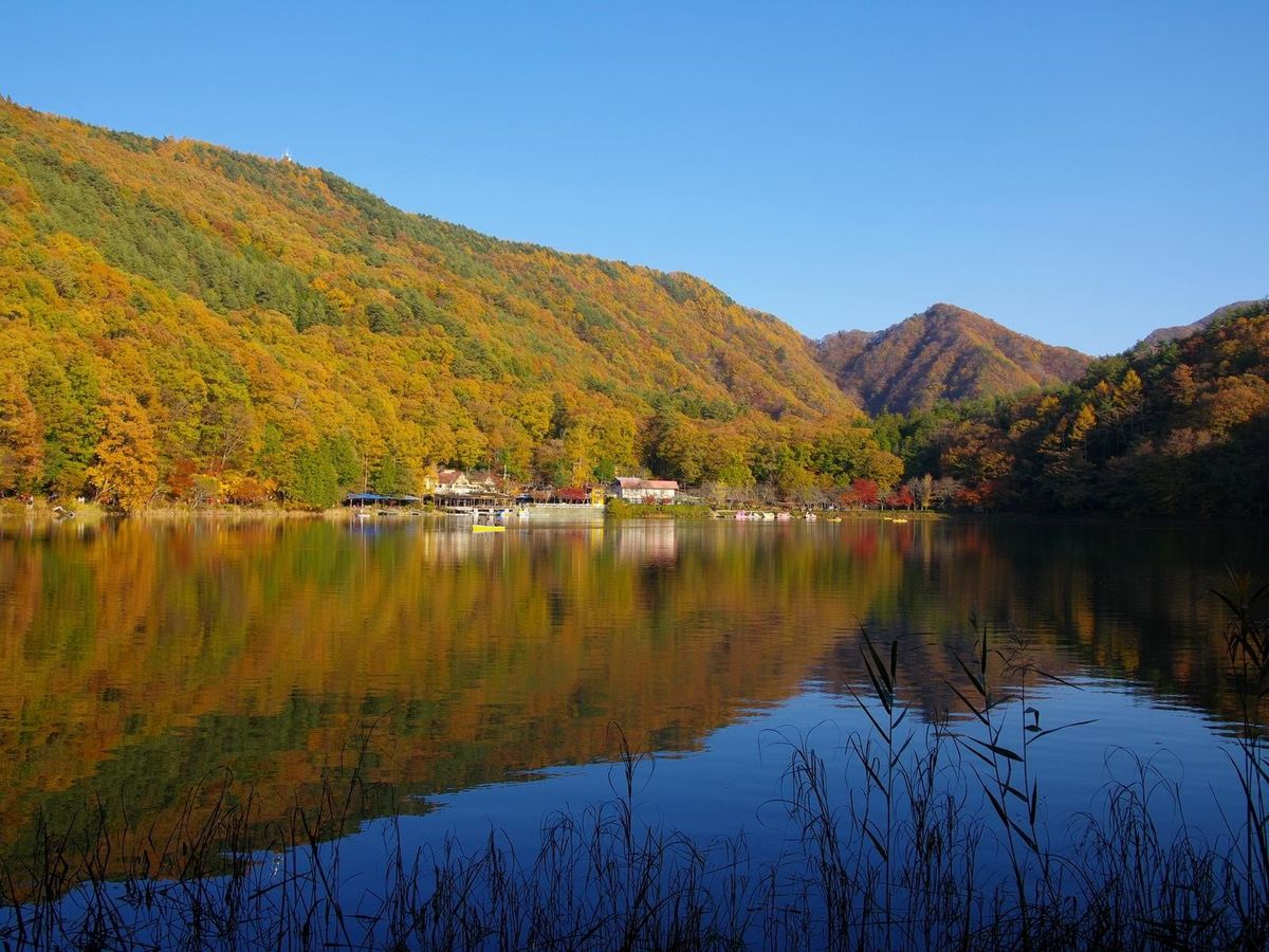 山梨県民が選んだ「住み続けたい自治体」ランキング！ 2位「西八代郡市川三郷町」、1位は？【2025年最新】 | TRILL【トリル】