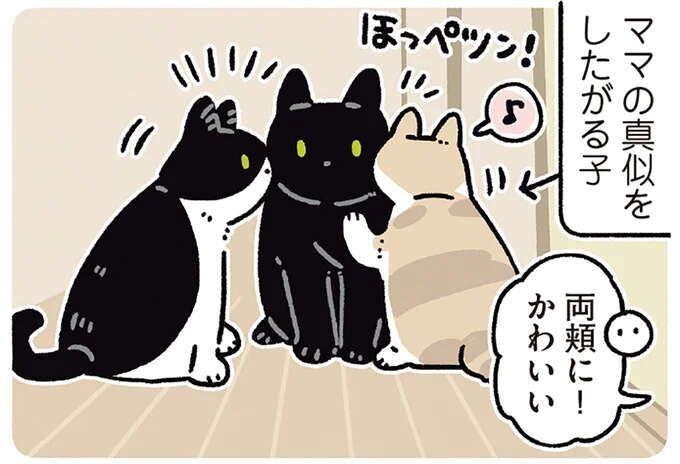 猫同士で友情のほっぺツン！ かわいいと思ったら...え？／黒猫ろんと暮らしたら7 | TRILL【トリル】