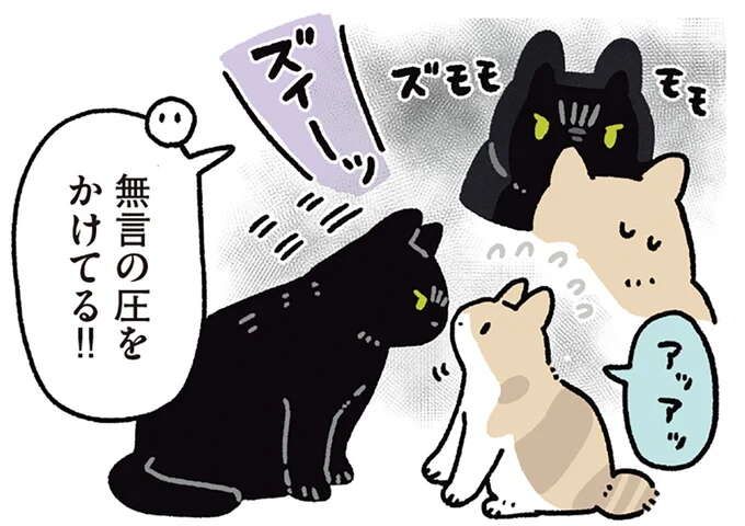 温厚な愛猫の「怒りポイント」。なんて...なんていい子！／黒猫ろんと暮らしたら7 | TRILL【トリル】