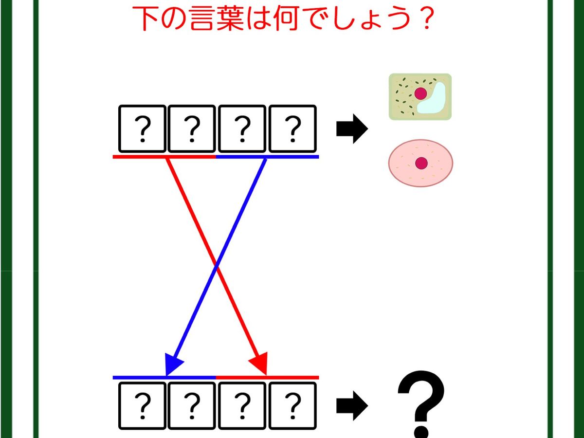 クイズです！「入れ替えたら別の言葉？」イラストは理科の授業で見たことがあるものです【難易度LV2.・甘口】 | TRILL【トリル】