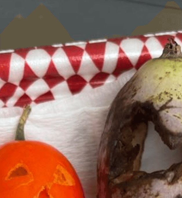 子供がハロウィンに向けて工作した結果… ベランダに広がる光景に思わず悲鳴「怖すぎて声出た」 | TRILL【トリル】