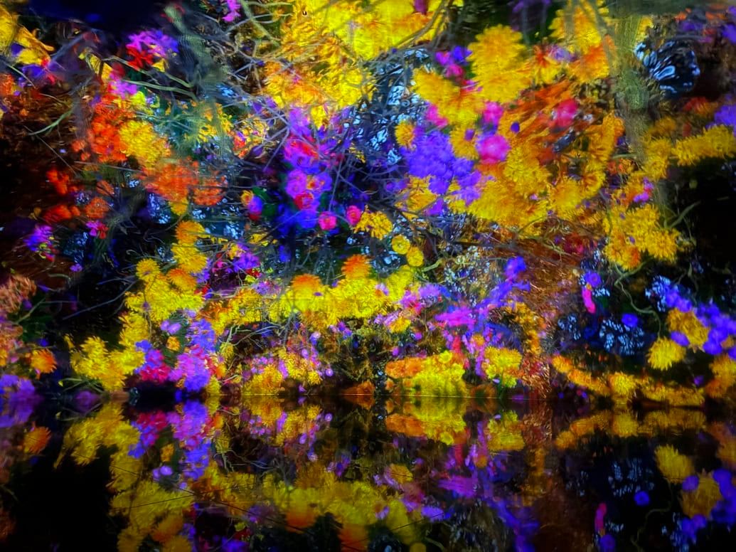 【チームラボ京都】が今秋オープン！鮮やかな世界に没入体験♡【見どころ解説】 | TRILL【トリル】