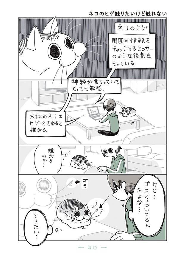 猫のヒゲについたゴミを取りたい！ だけど敏感な猫のヒゲを触るのは至難の業？／夜は猫といっしょ1(11) | TRILL【トリル】