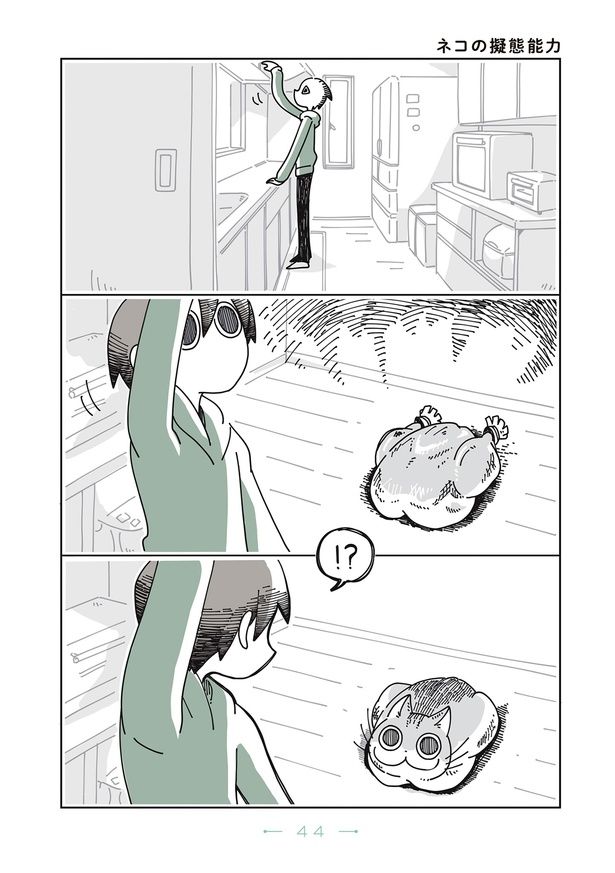 家の中に七面鳥やカブトガニが!? 擬態能力の高い猫が色々なものに見えてしまう／夜は猫といっしょ1(12) | TRILL【トリル】