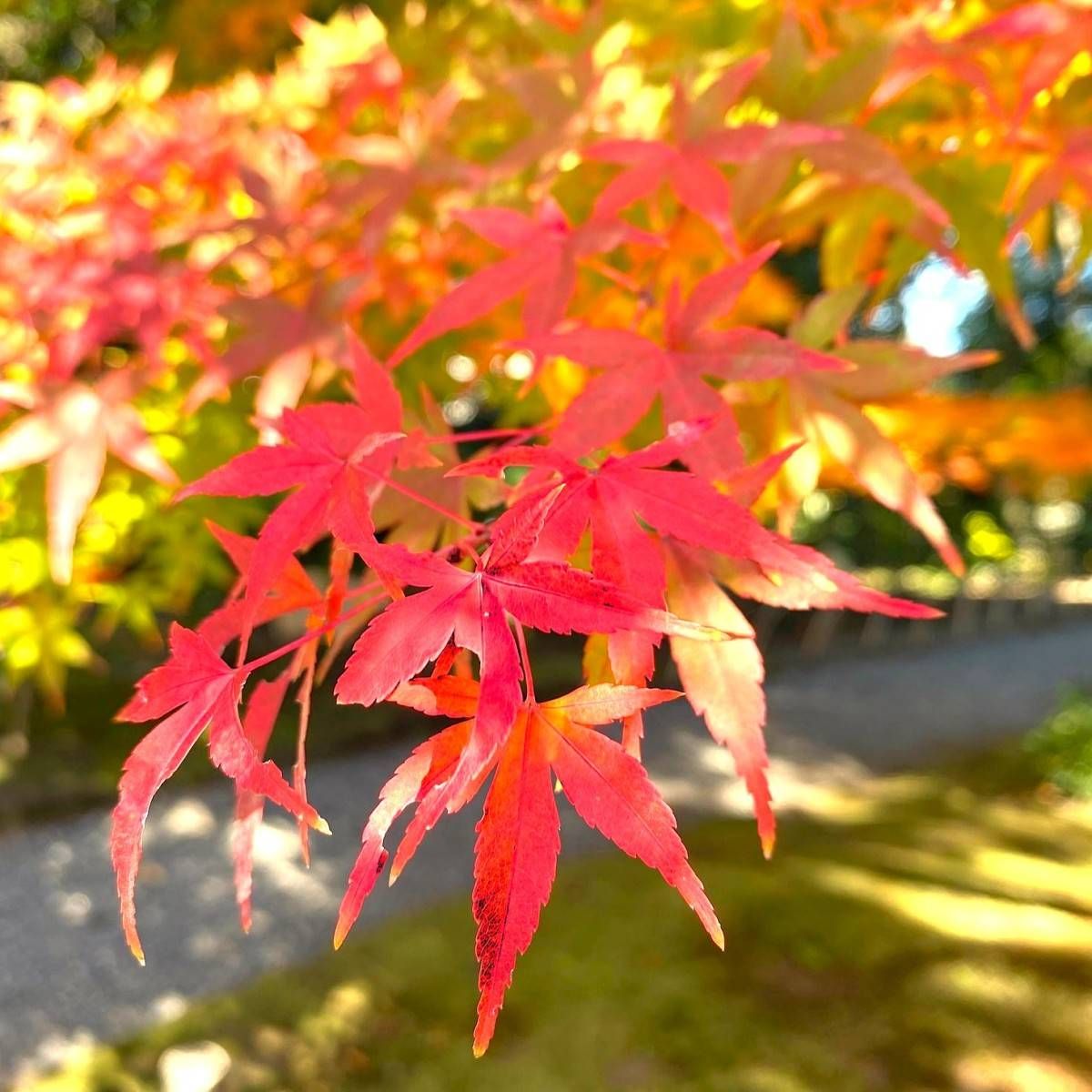 超大吉日【10月23日(木)】がやってくる。正しい過ごし方はコレ！ | TRILL【トリル】