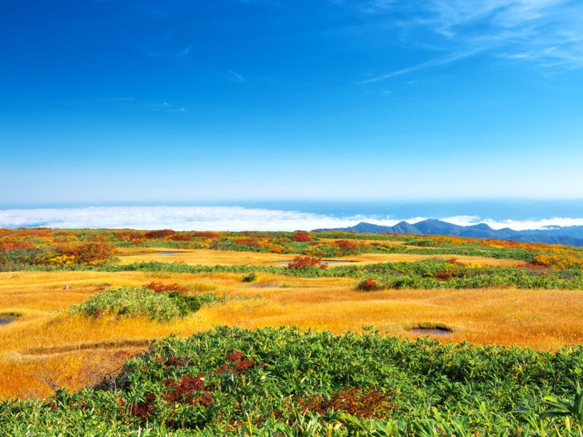 秋に行きたいと思う「山形県の絶景スポット」ランキング！ 2位「月山」を抑えた1位は？ 【2025年調査】 | TRILL【トリル】