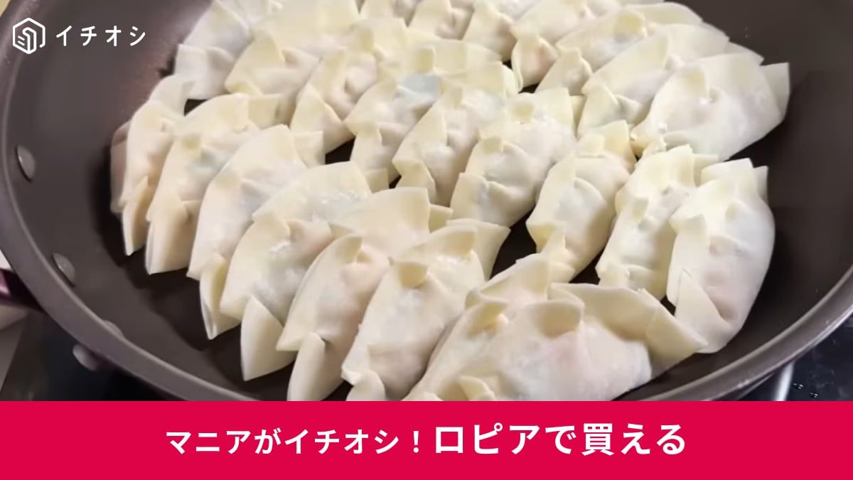 【ロピア最強コスパ】50枚入りで150円以下⁉「お徳用餃子の皮」はパリッと焼けて感動の食感！ | TRILL【トリル】