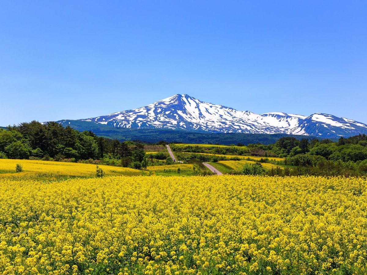 秋田県の市で「名前がかっこいいと思う市」ランキング！ 2位「由利本荘市」、堂々の1位は？【2025年調査】 | TRILL【トリル】