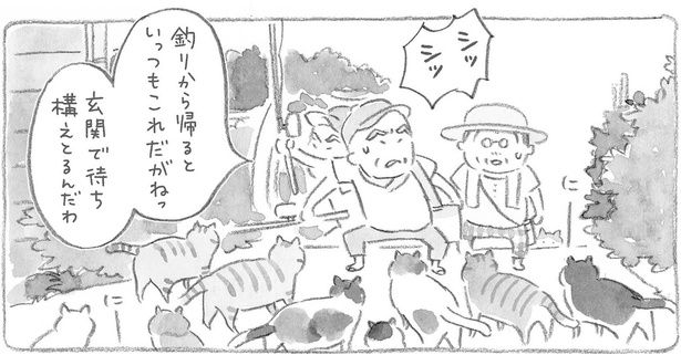 釣りから帰るとモテモテ。猫ぎらいのじいちゃんと猫の優しい距離感 | TRILL【トリル】