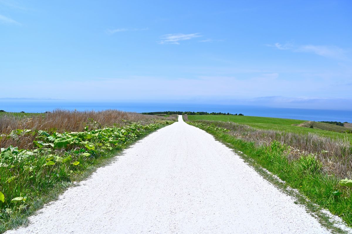 『旅スノ』最終回はメンバー全員で北海道を巡る！ Snow Manが日本縦断旅で見せた“深い絆” | TRILL【トリル】