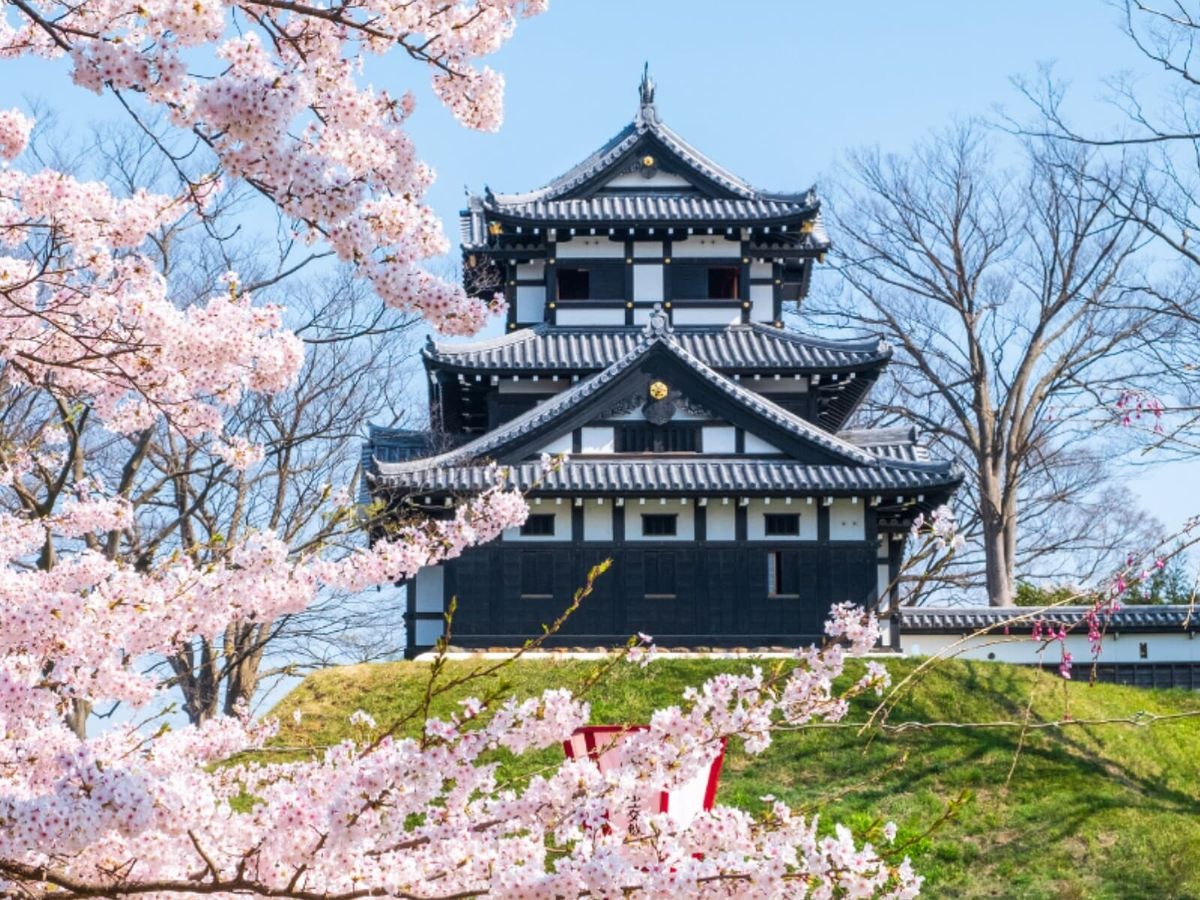 北陸地方の「憧れナンバープレート」ランキング！ 2位「上越（新潟県）」、1位は？ 【2025年調査】 | TRILL【トリル】