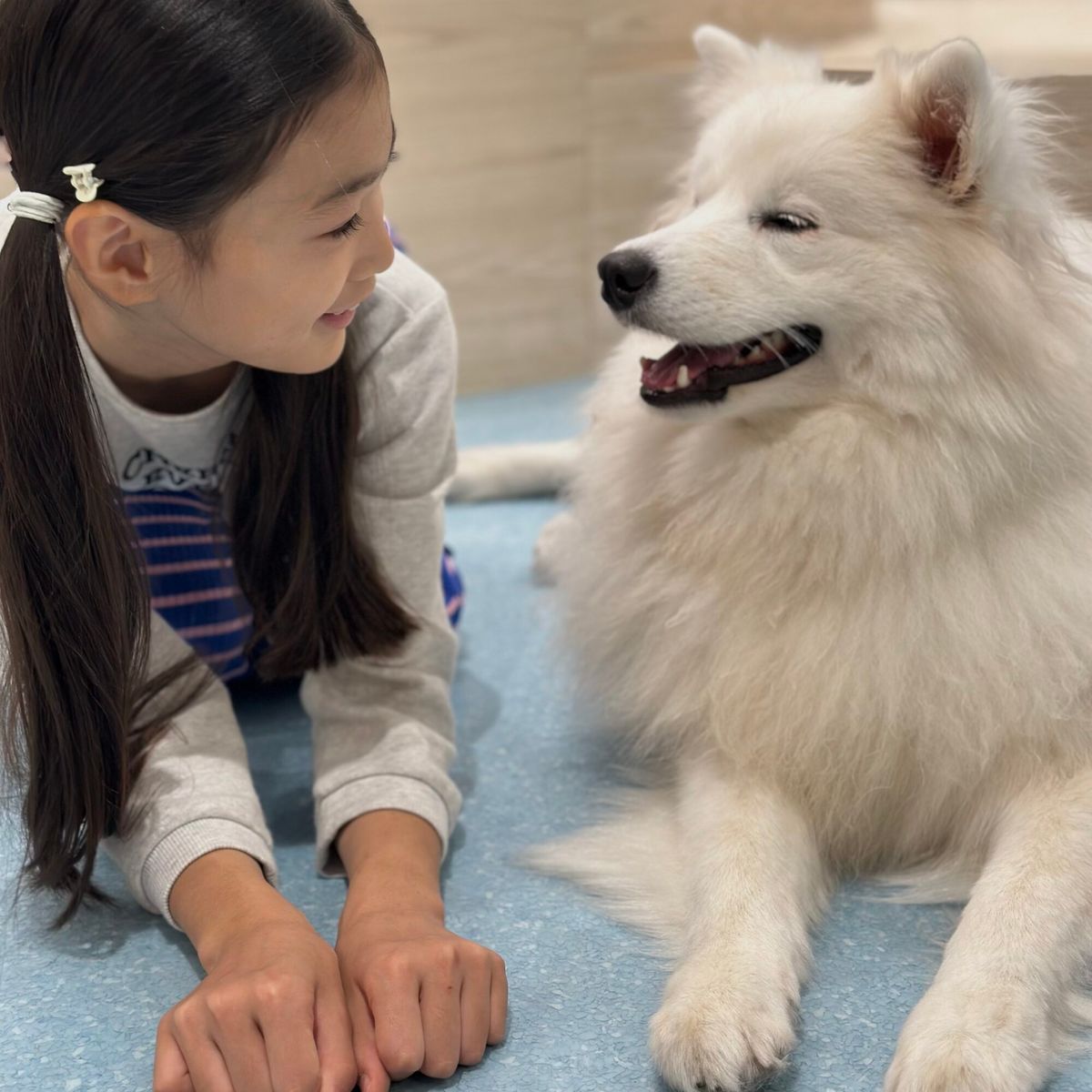 【浅草】子連れok！ワンちゃんに癒される話題のスポット！「サモエドカフェ アル」 | HugMug | TRILL【トリル】