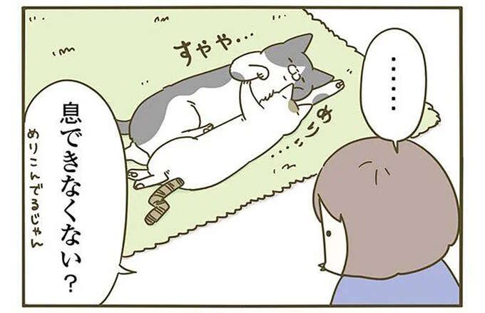 くっついて眠る2匹の猫の愛らしい姿！ 飼い主は「息できるの？」と疑問を持つが...／うちの猫がまた変なことしてる。3 | TRILL【トリル】