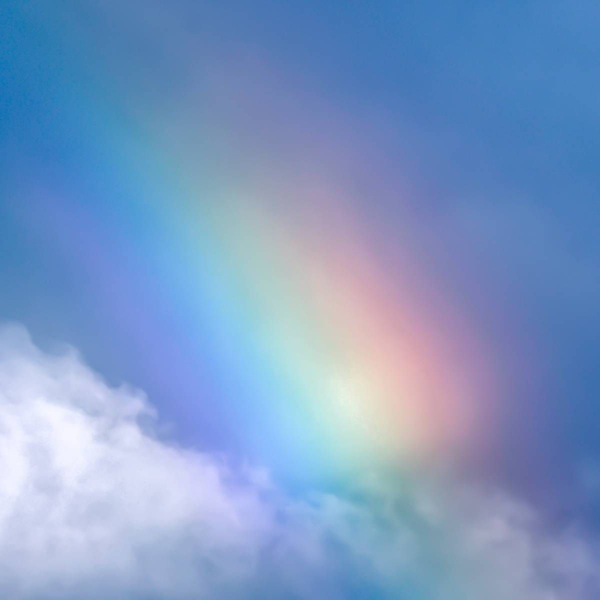 大大大吉日【12月18日(木)】が訪れる。運を逃すNG行動に注意！ | TRILL【トリル】