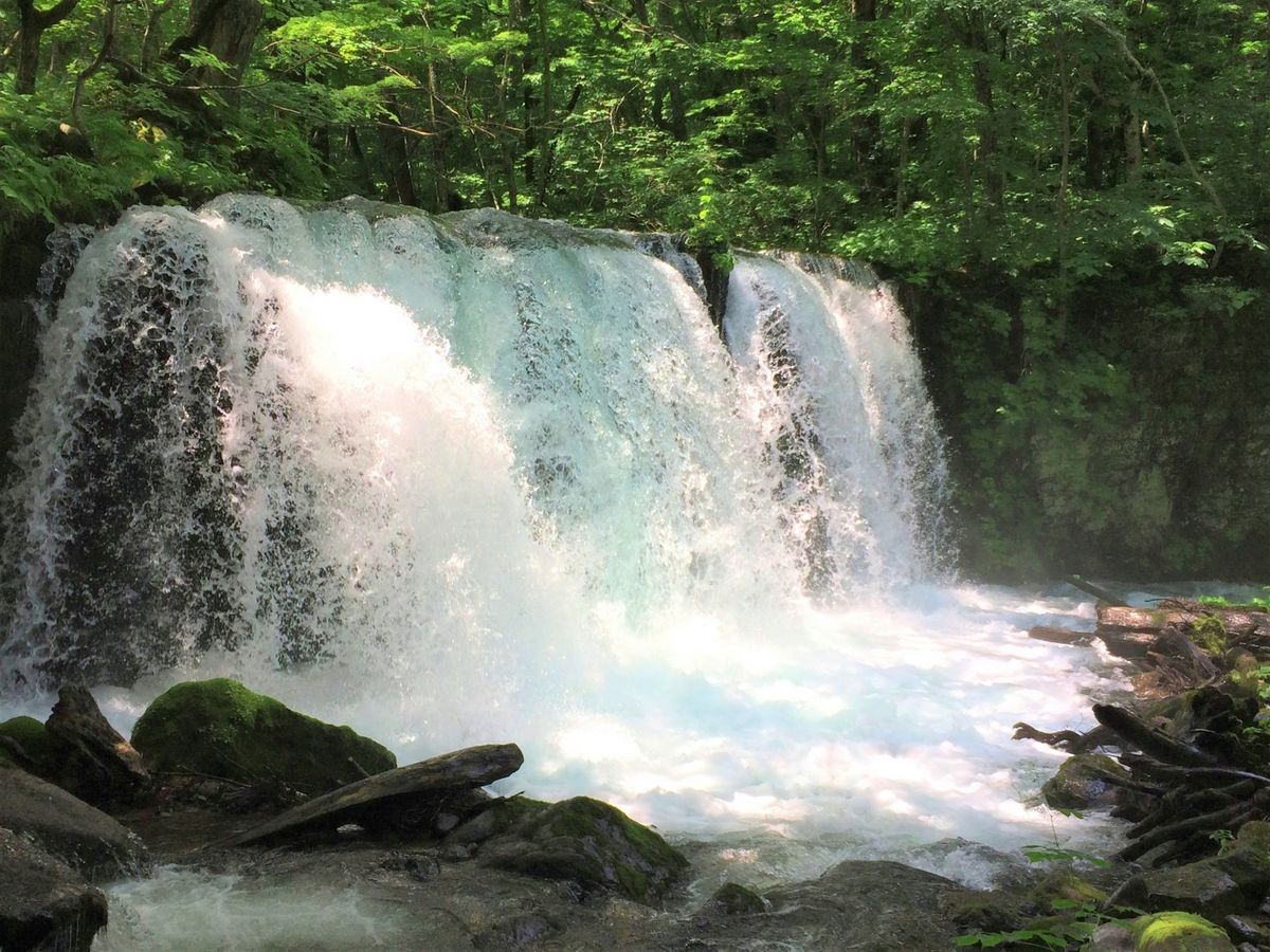 【氷瀑が絶景だと思う滝】300名が選ぶ1位に「圧倒されます」「別世界に迷い込んだような感動」 | TRILL【トリル】